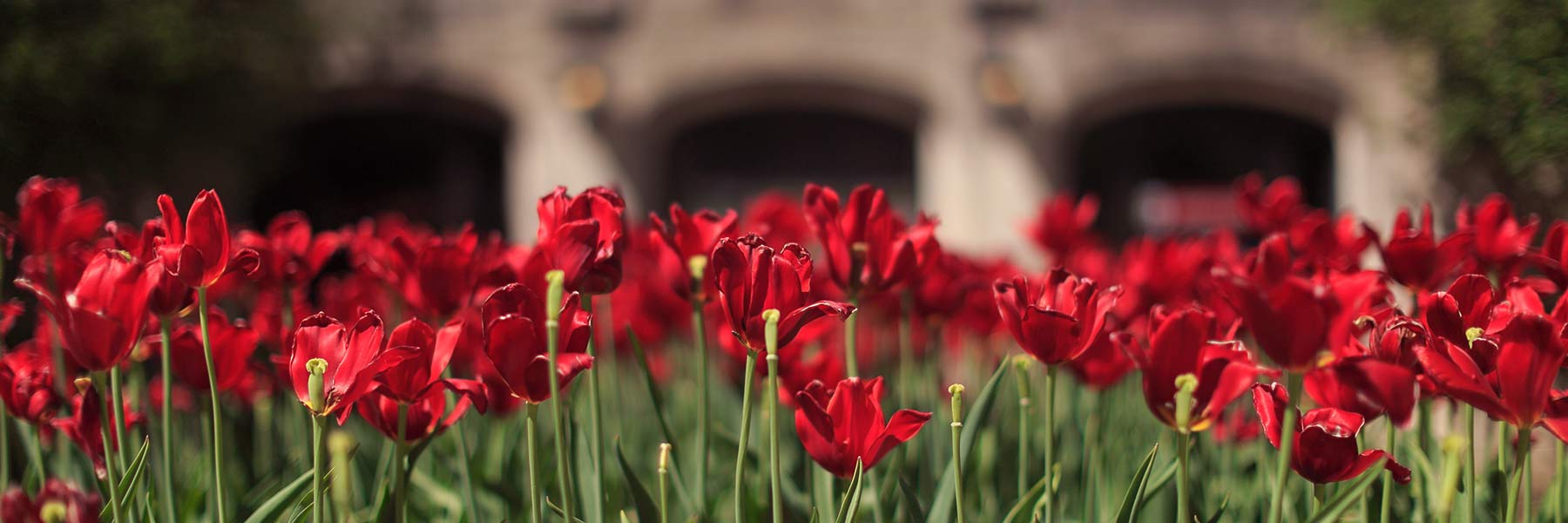 Amenities: Biddle Hotel: Indiana Memorial Union: Indiana University ...